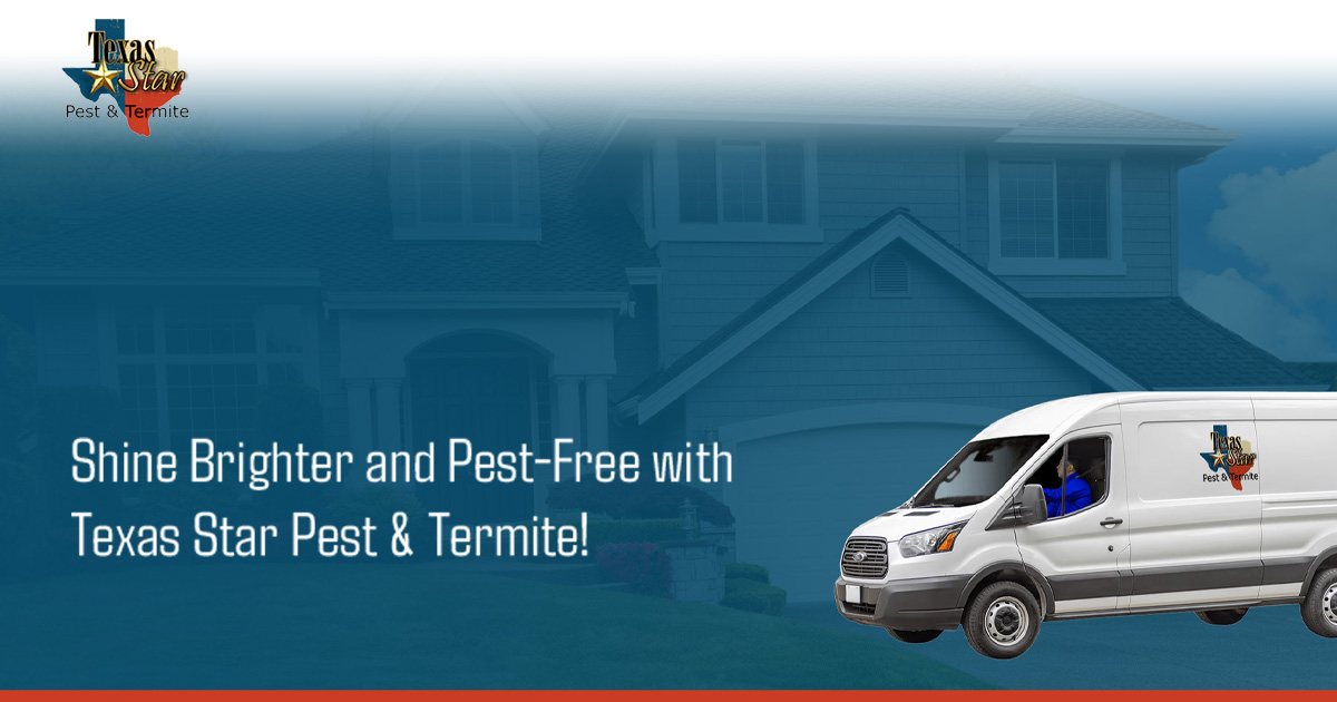 Flower Mound Pest Control | Texas Star Pest & Termite